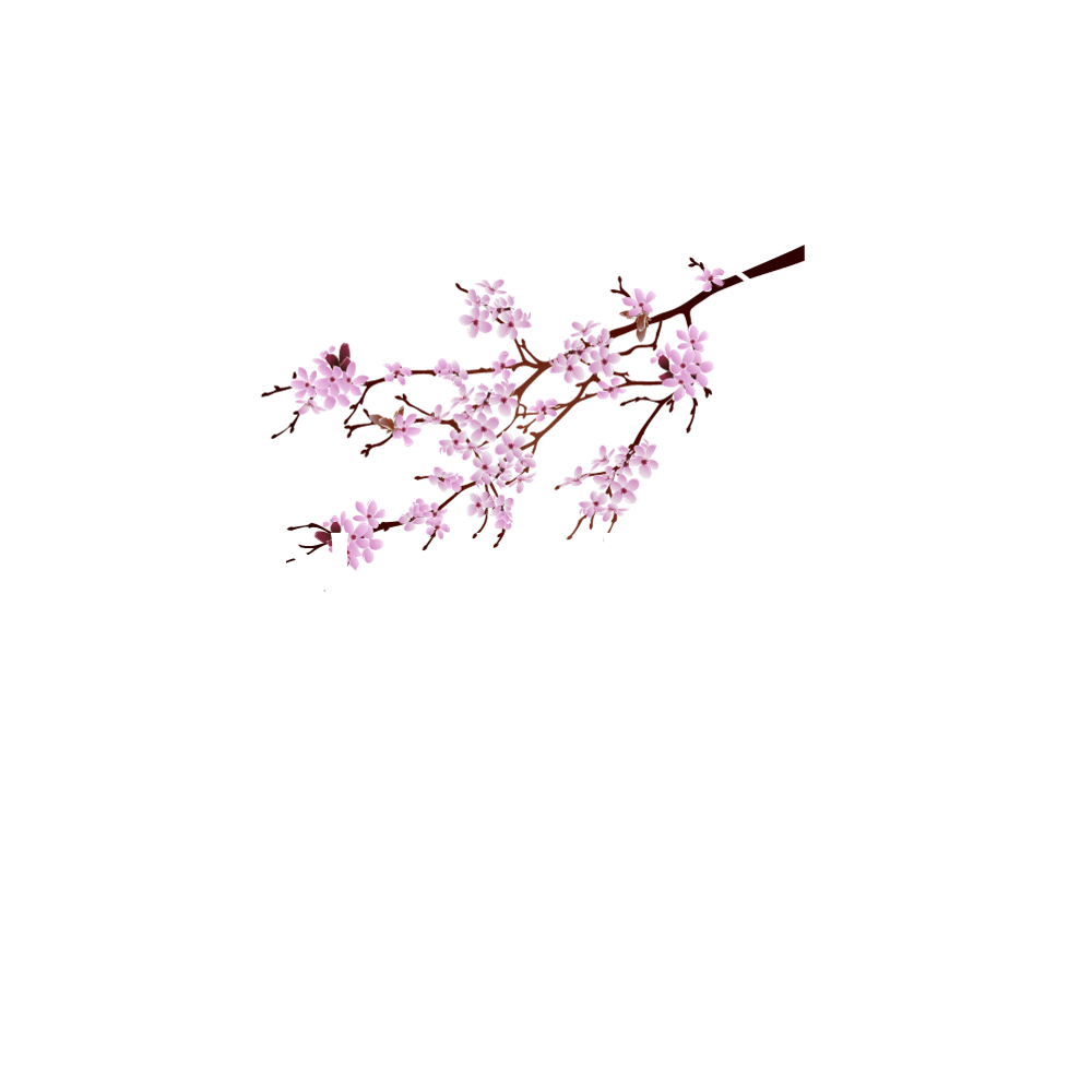 Nikiri, authentisch Japan in Erkelenz